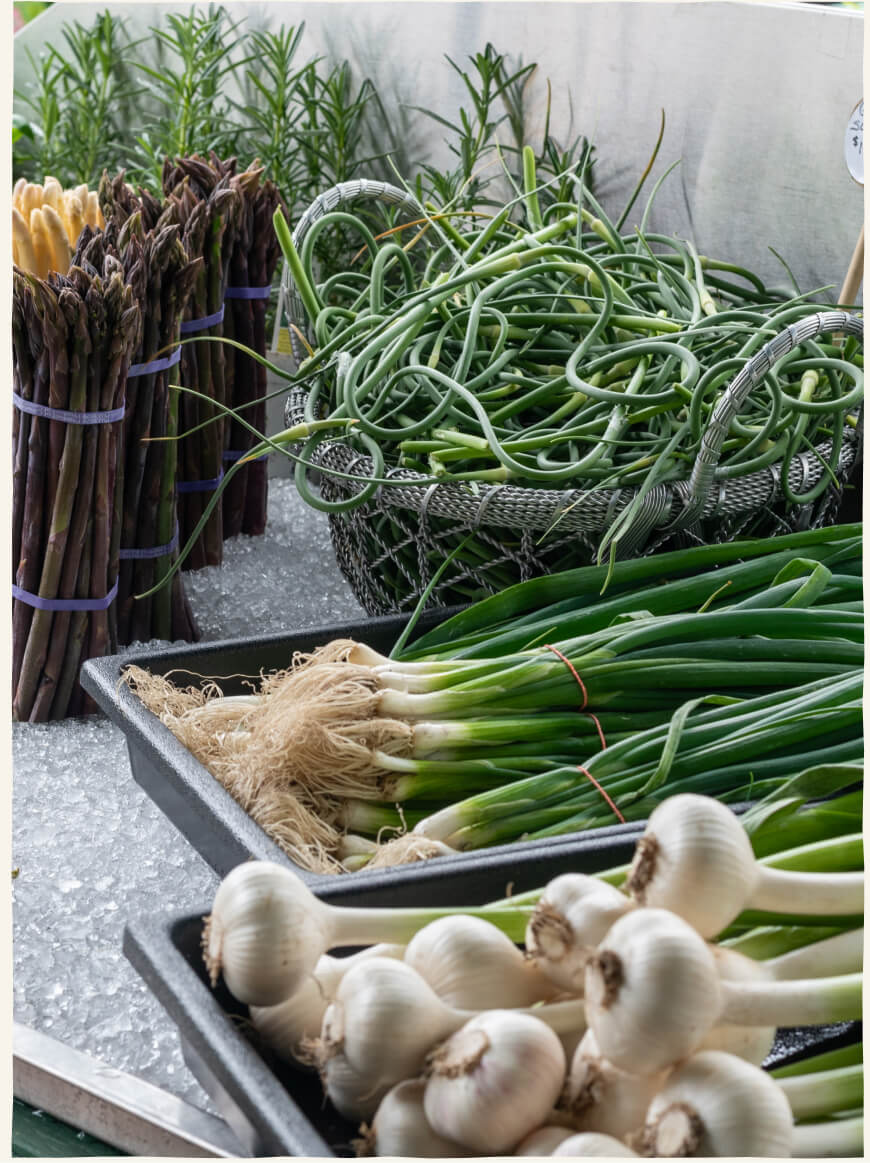 Market - Field Of Greens